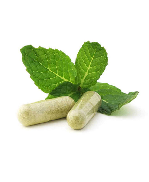 TOTAL BODY CLEANSE – GreenLeaf®